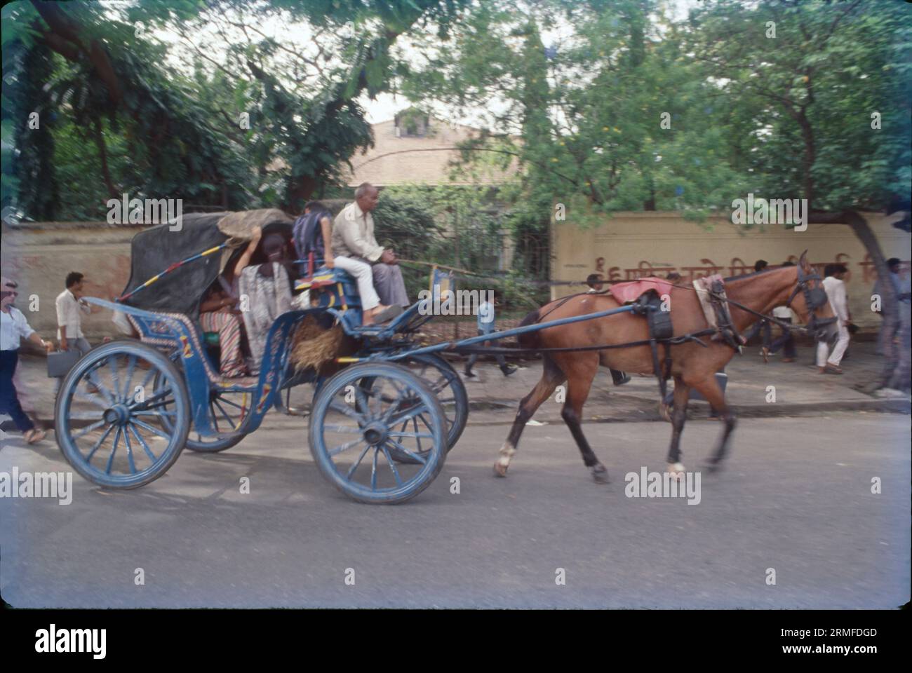 Famous Horse Cart of Mumbai City, India Stock Photo - Alamy