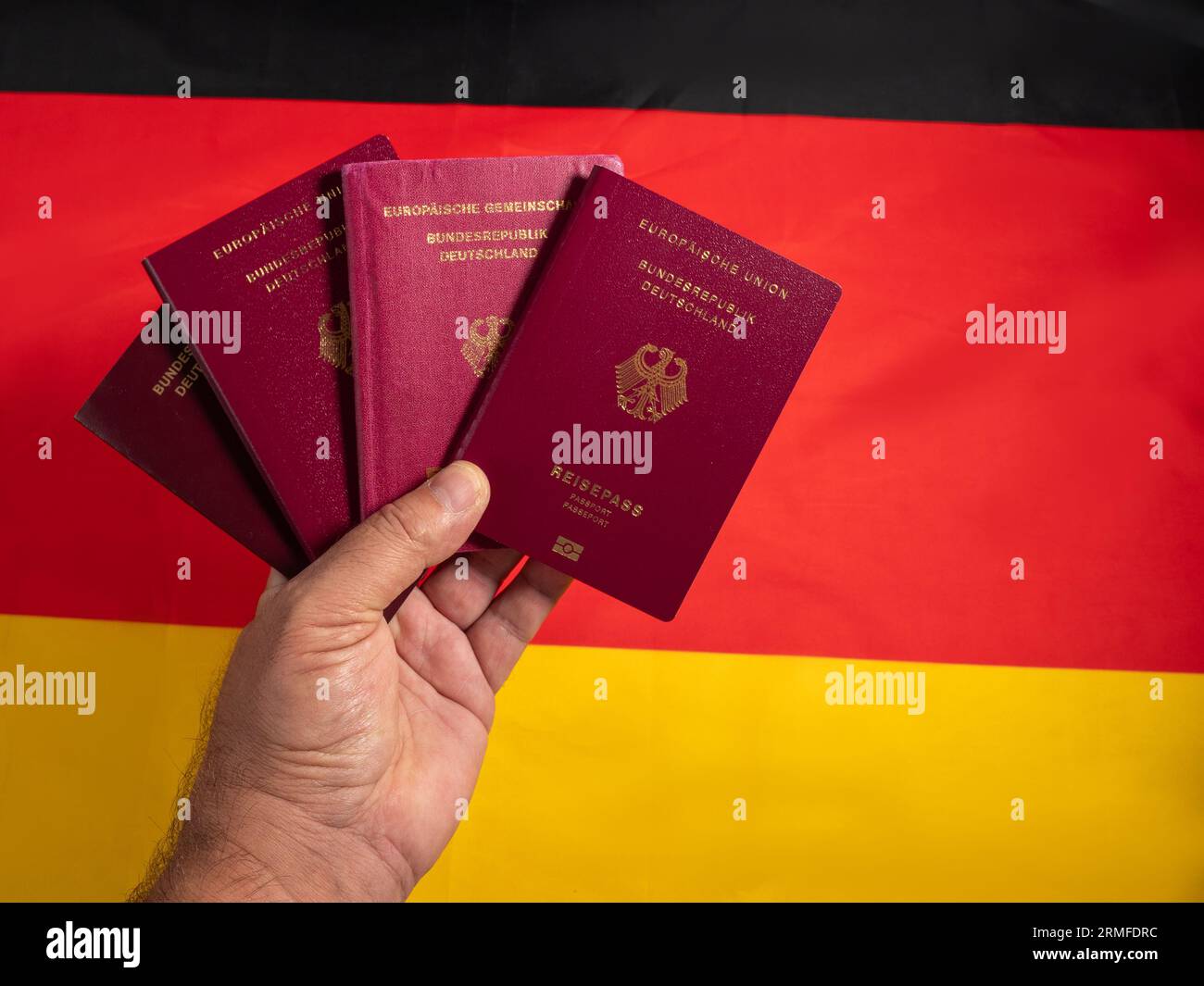 The hand holds the Passport of a citizen of Germany on the background ...