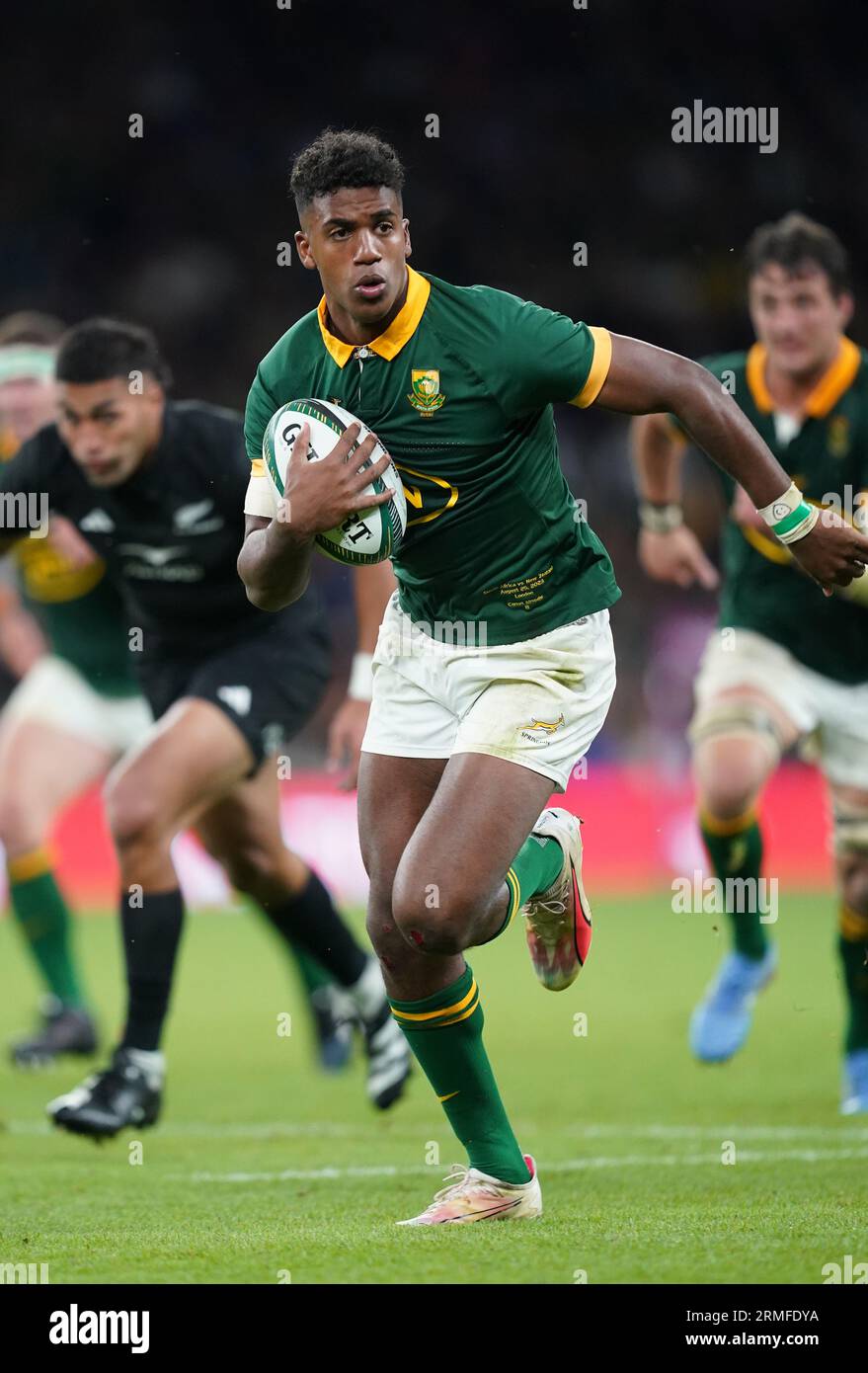 Springboks rugby moodie hi-res stock photography and images - Alamy