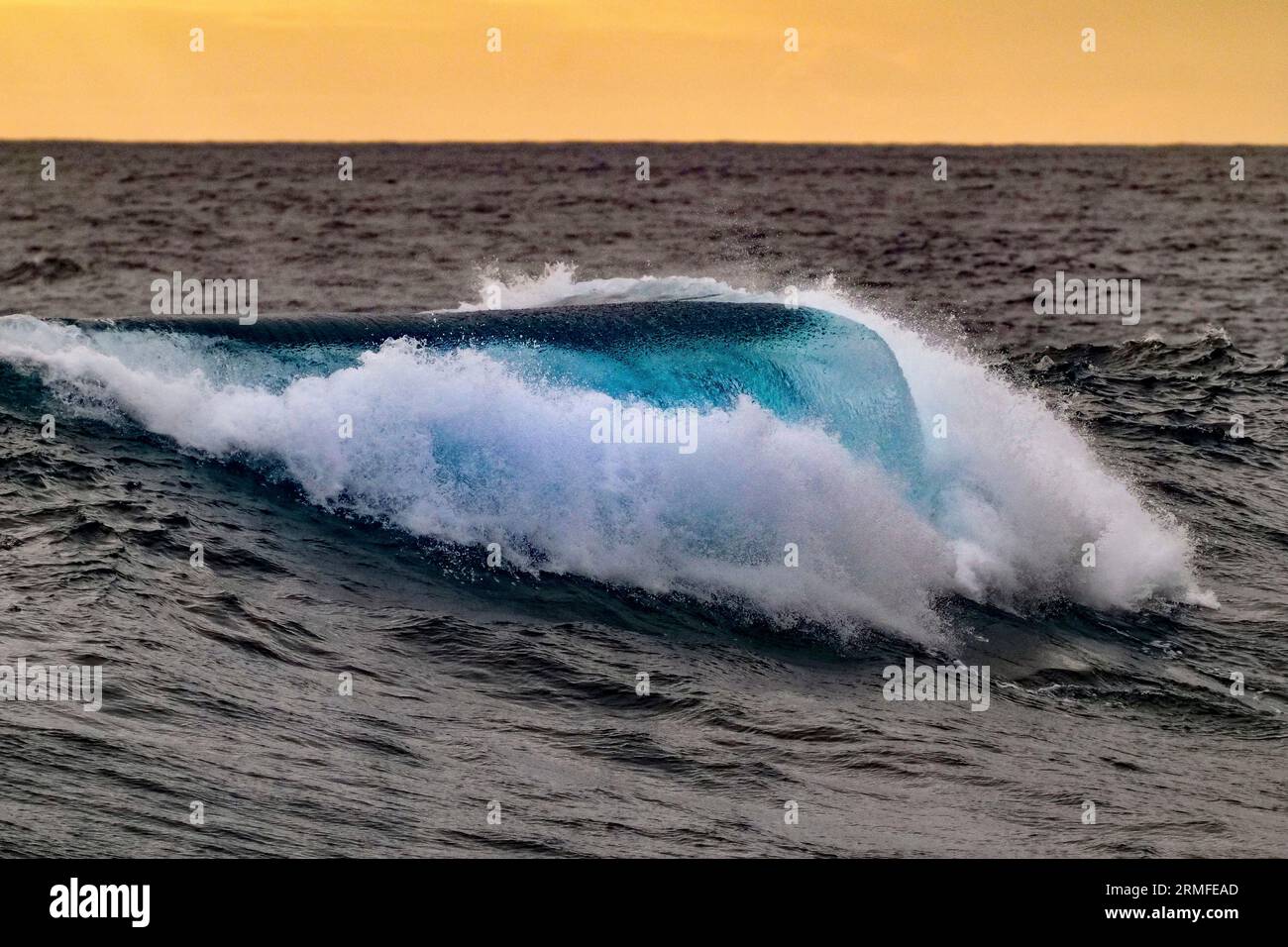 Surf and Waves of LA reunion Island Indian Ocean at sunset Stock Photo ...