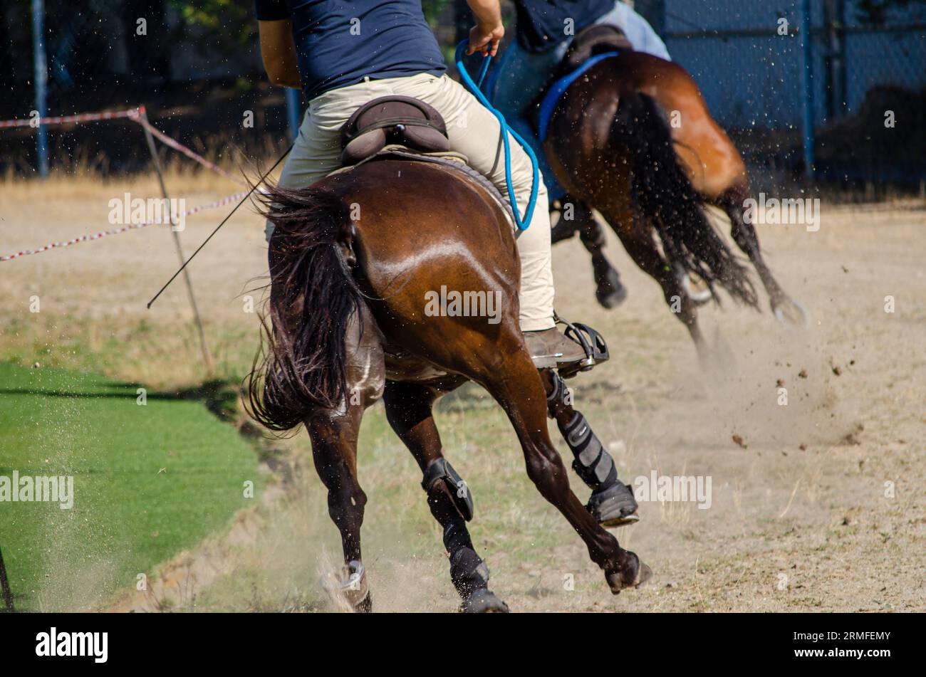 two horses competing in a race Stock Photo - Alamy
