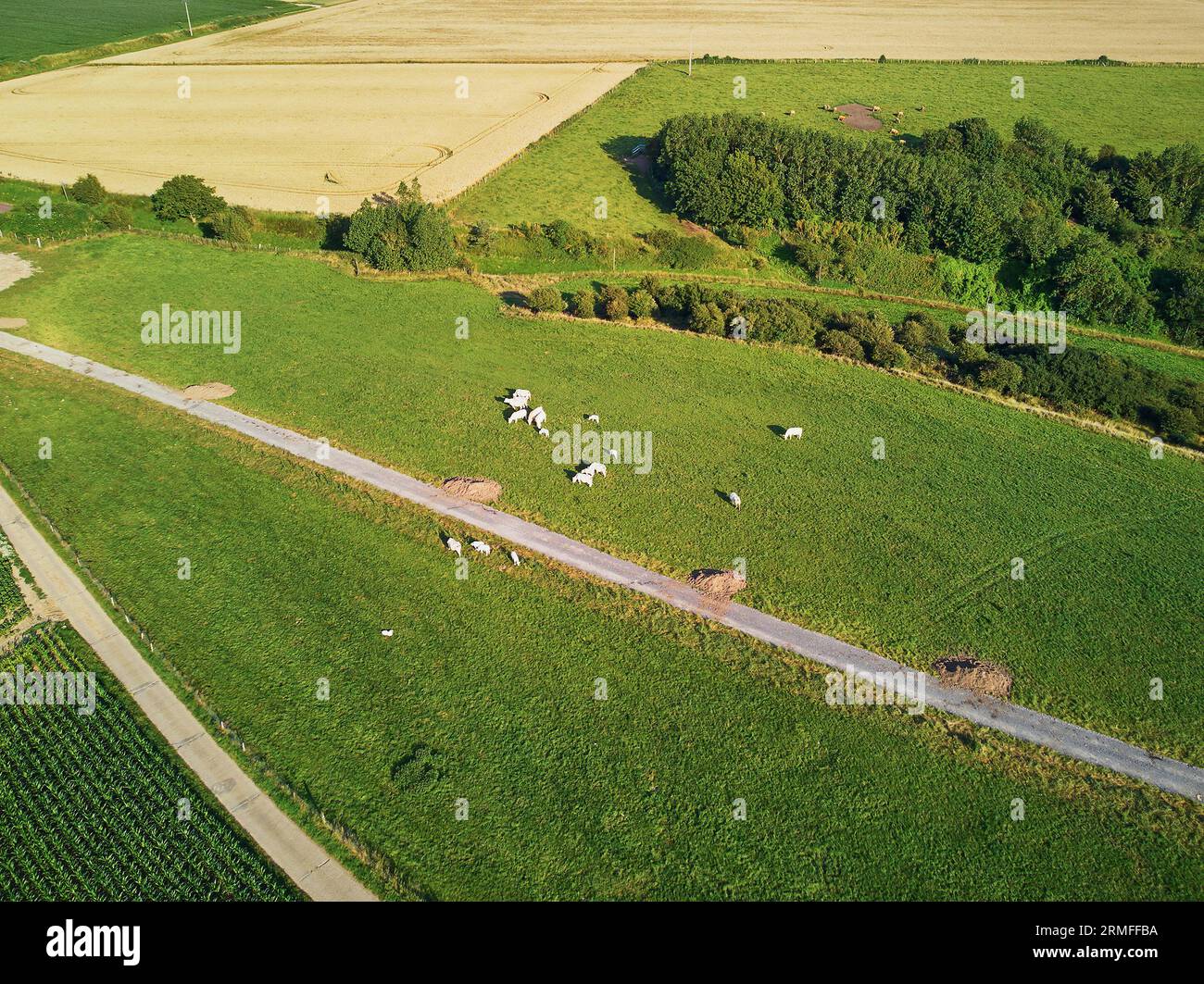 Aerial view of pastures and farmlands in Brittany, France. Beautiful ...