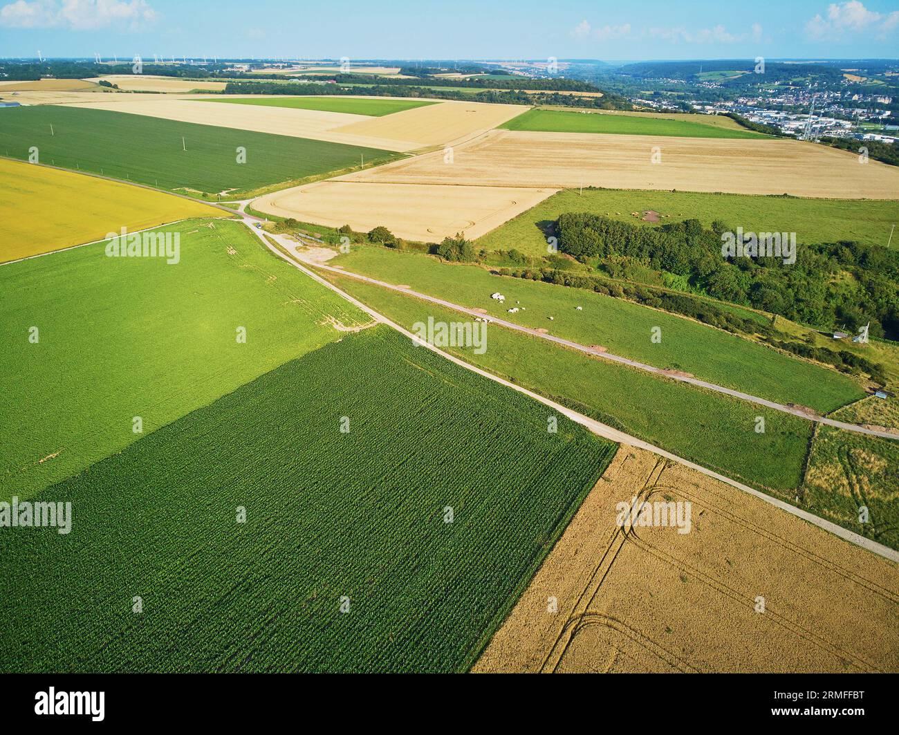 Scenic aerial drone view of green and yellow fields in Normandy, France ...