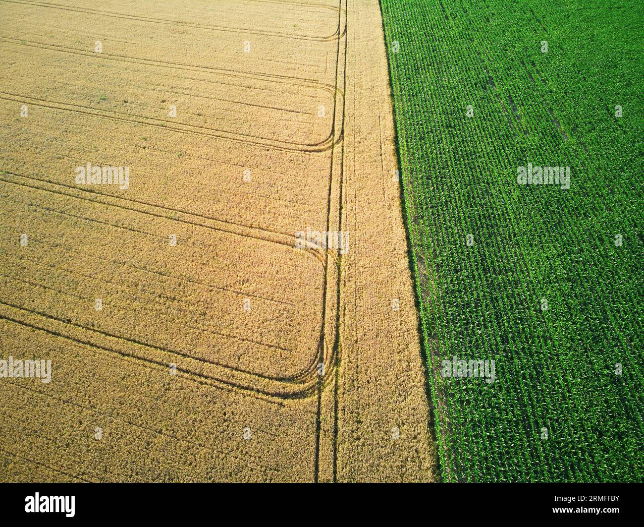 Scenic aerial drone view of green and yellow fields in Normandy, France ...