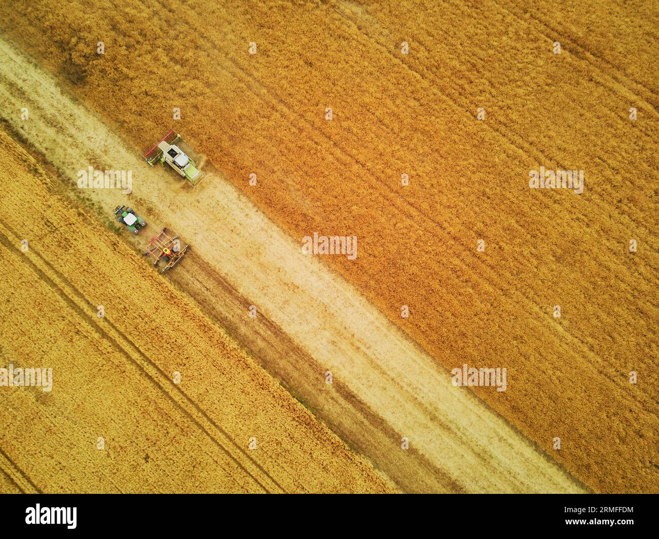 Harvesting of wheat in summer. Aerial drone view of two harvesters ...