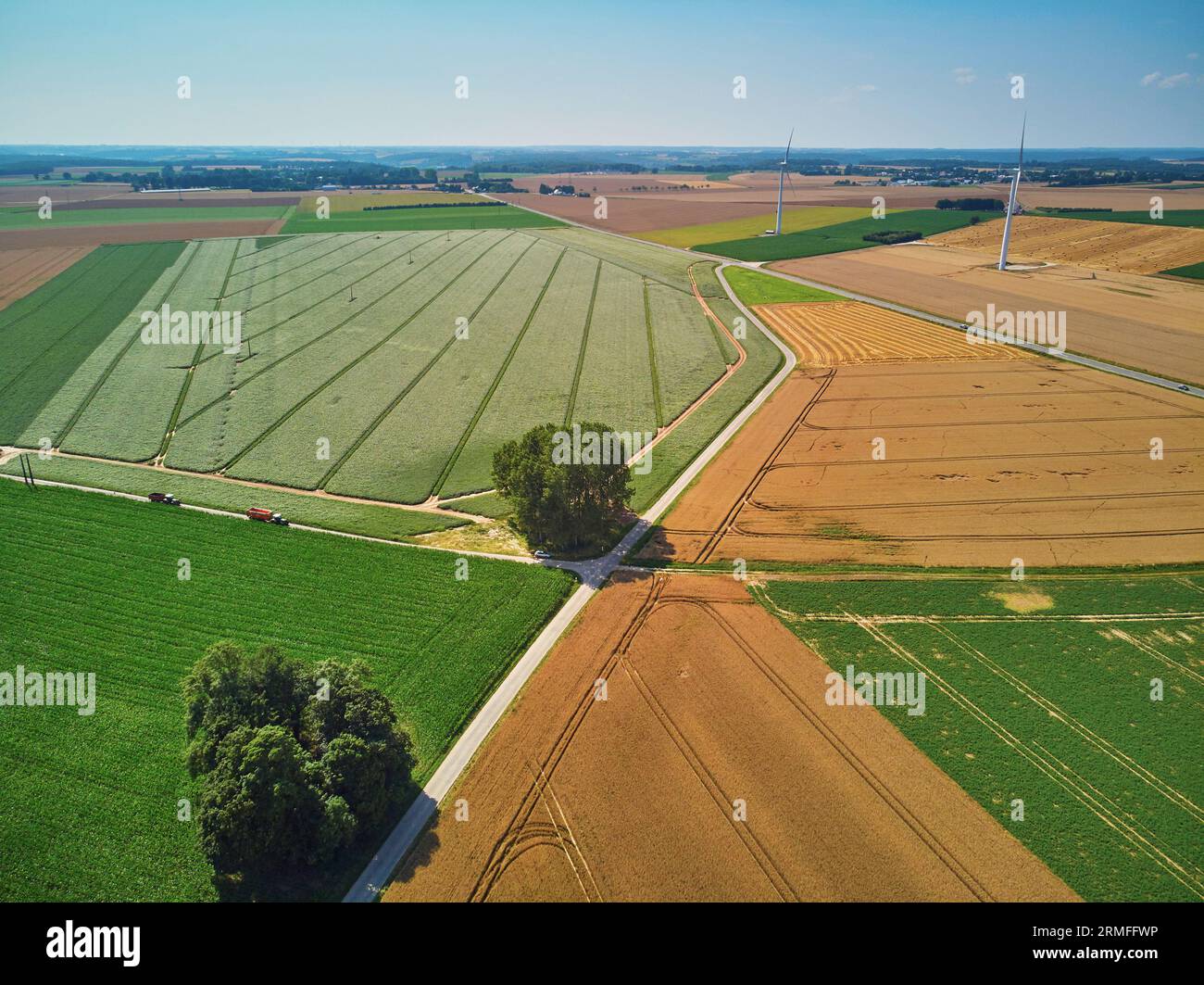 Aerial view yellow seed hi-res stock photography and images - Alamy