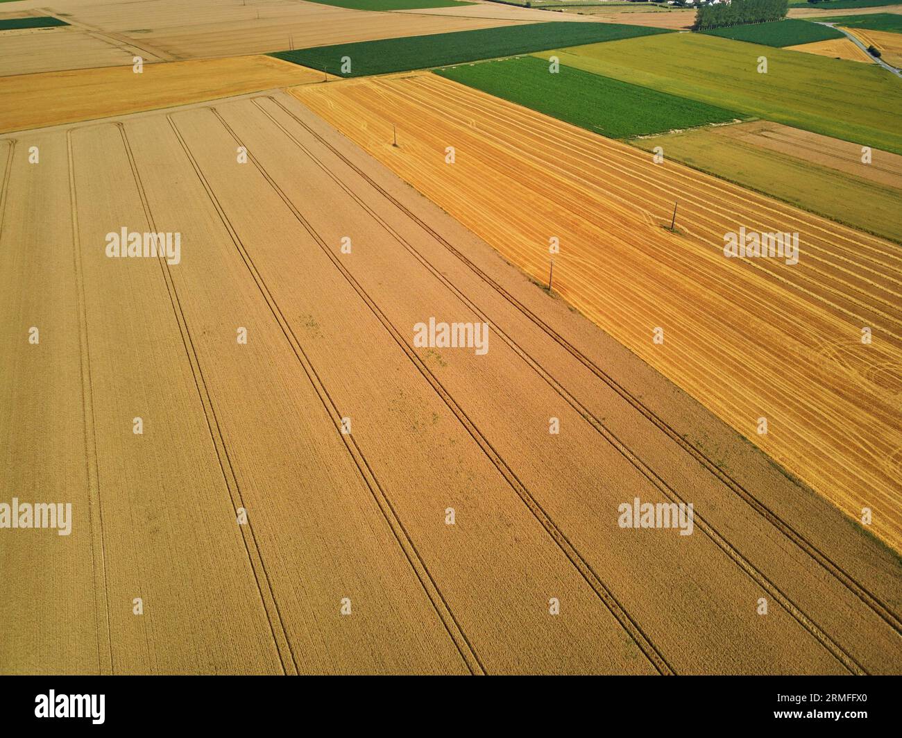 Aerial video above field drone hi-res stock photography and images - Alamy
