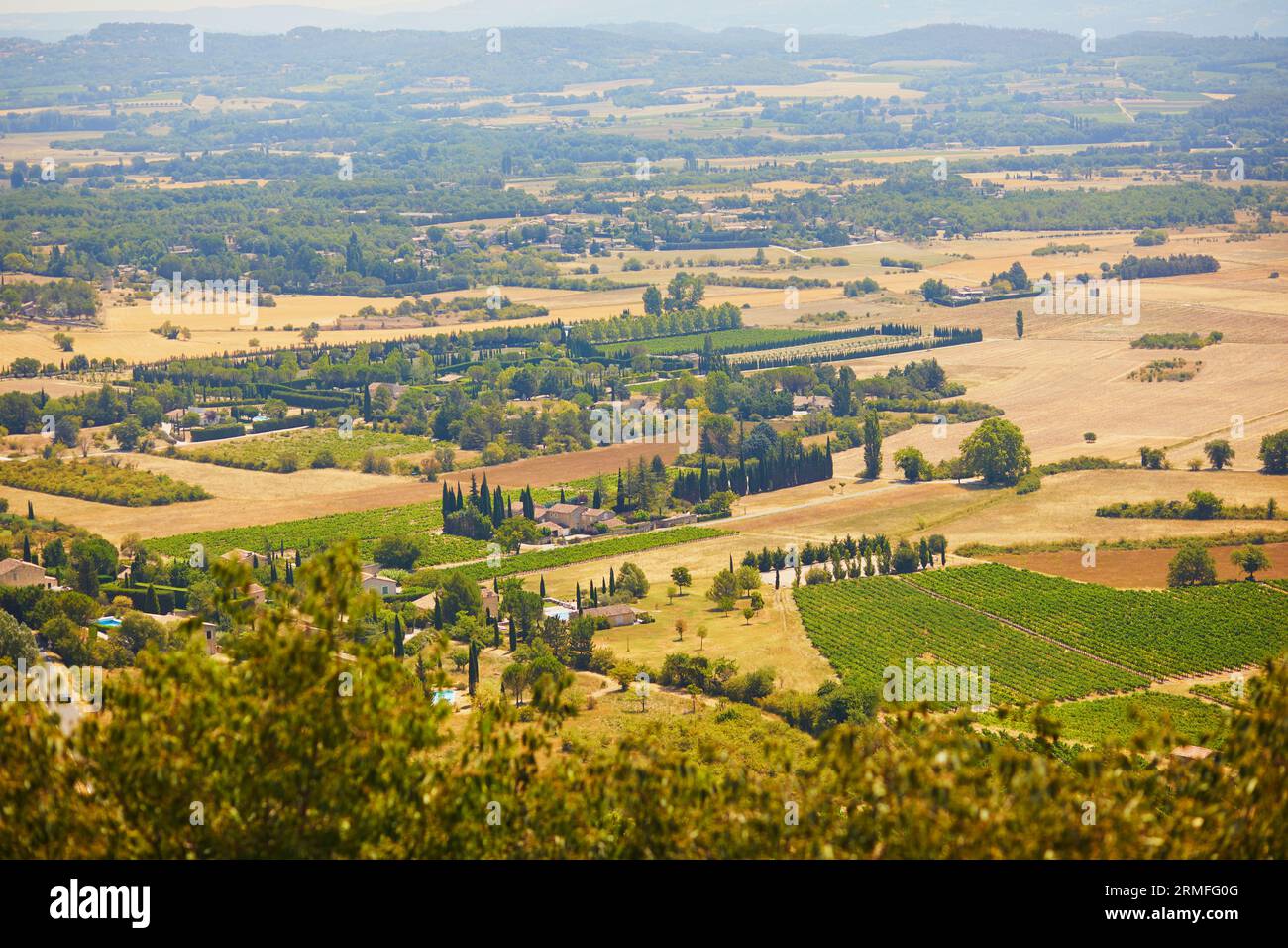 Aerial scenic Mediterranean landscape with cypresses, olive trees and ...