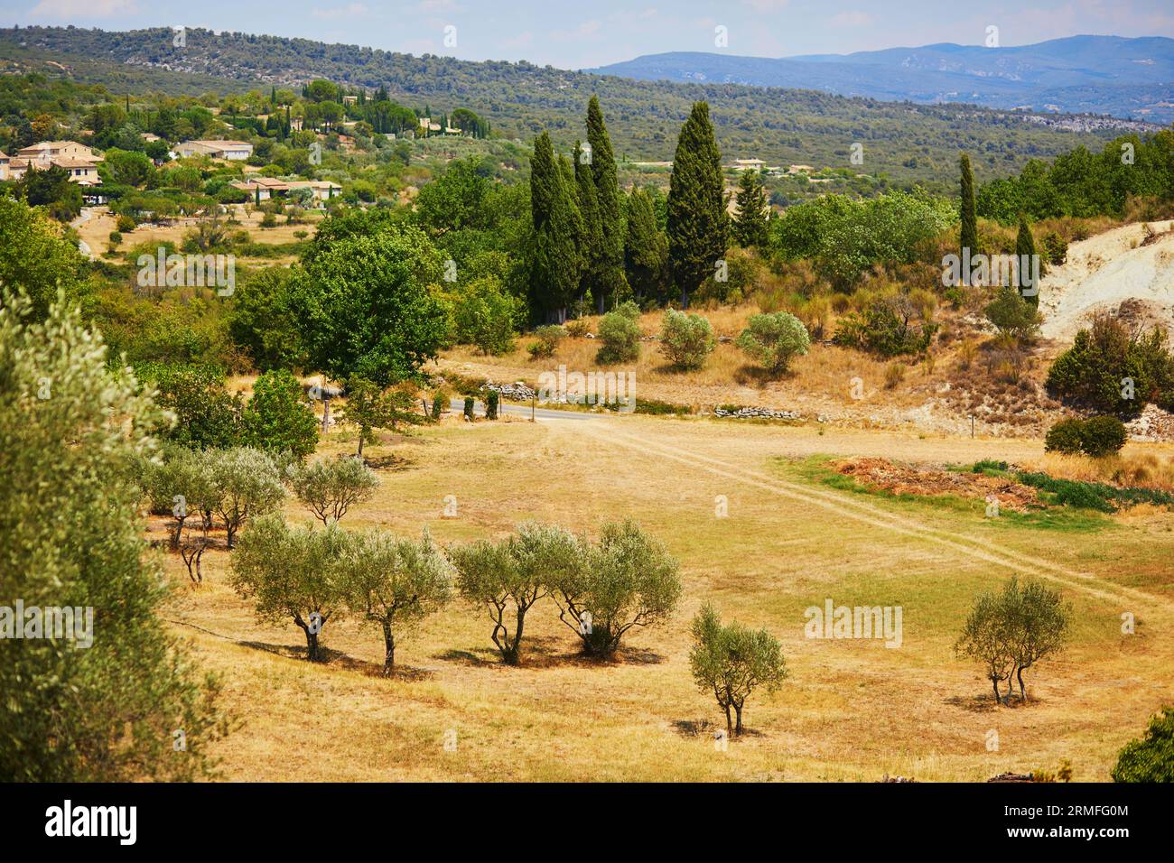 Aerial scenic Mediterranean landscape with cypresses, olive trees and ...