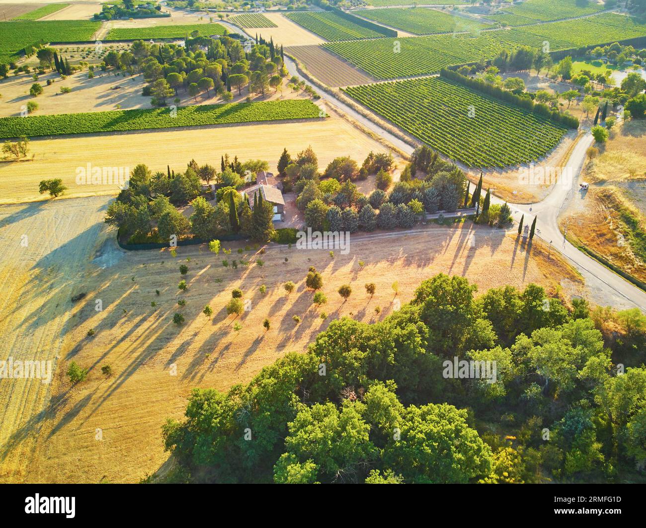 Aerial scenic Mediterranean landscape with cypresses, olive trees and ...