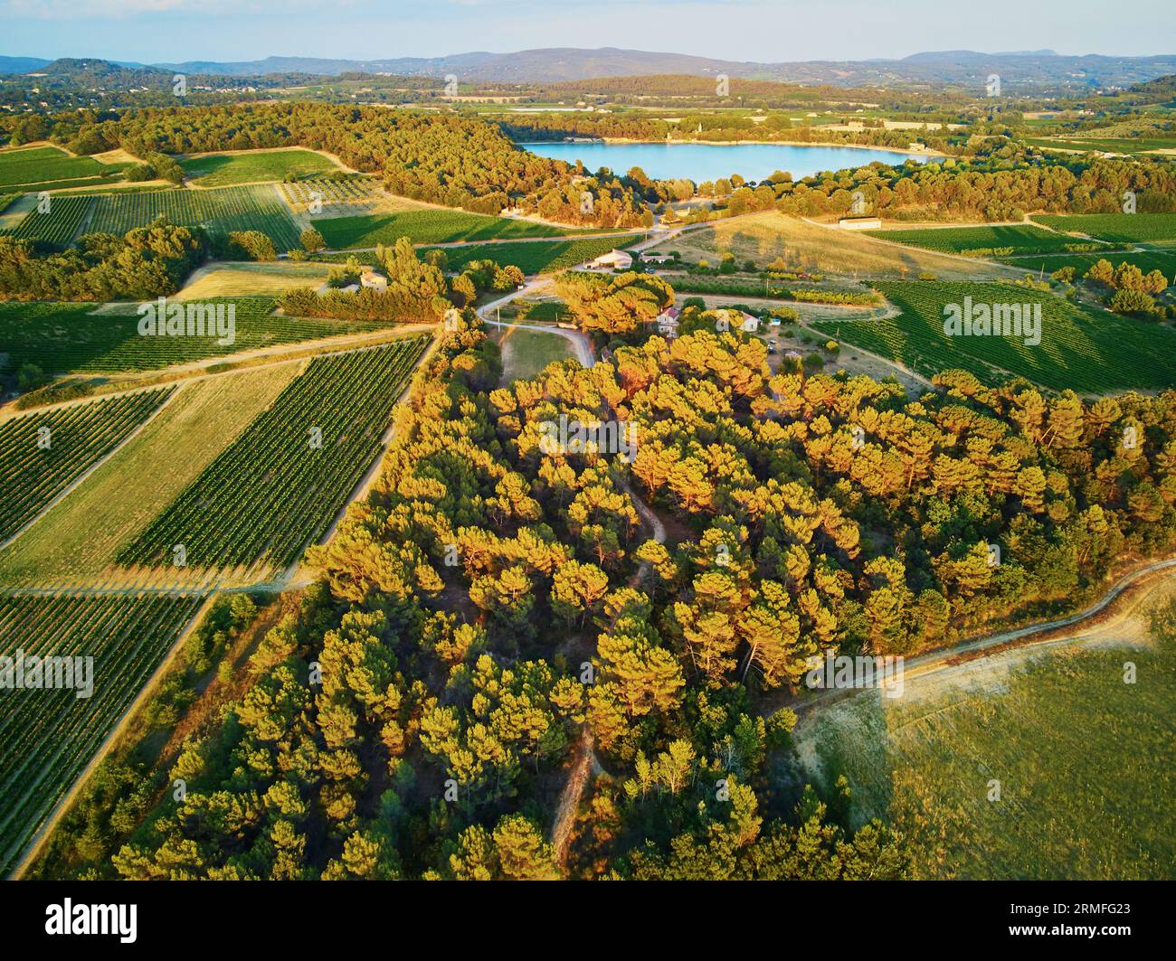 Aerial scenic Mediterranean landscape with cypresses, olive trees ...