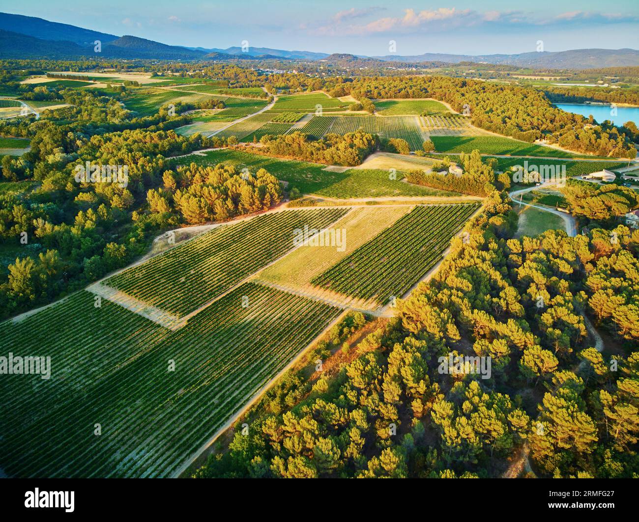 Aerial scenic Mediterranean landscape with cypresses, olive trees ...