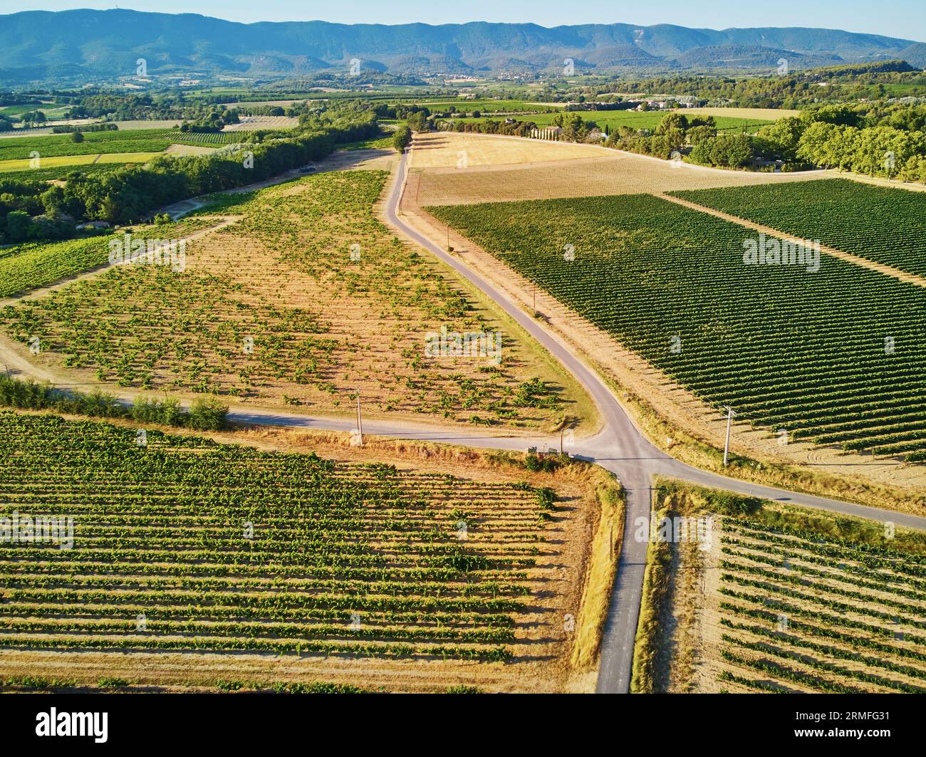 Aerial scenic Mediterranean landscape with cypresses, olive trees and ...