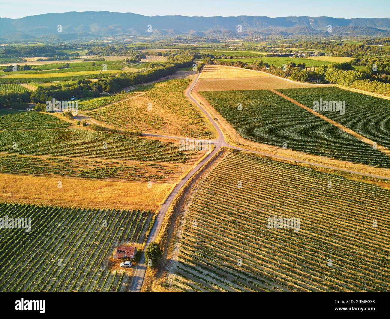 Aerial scenic Mediterranean landscape with cypresses, olive trees and ...