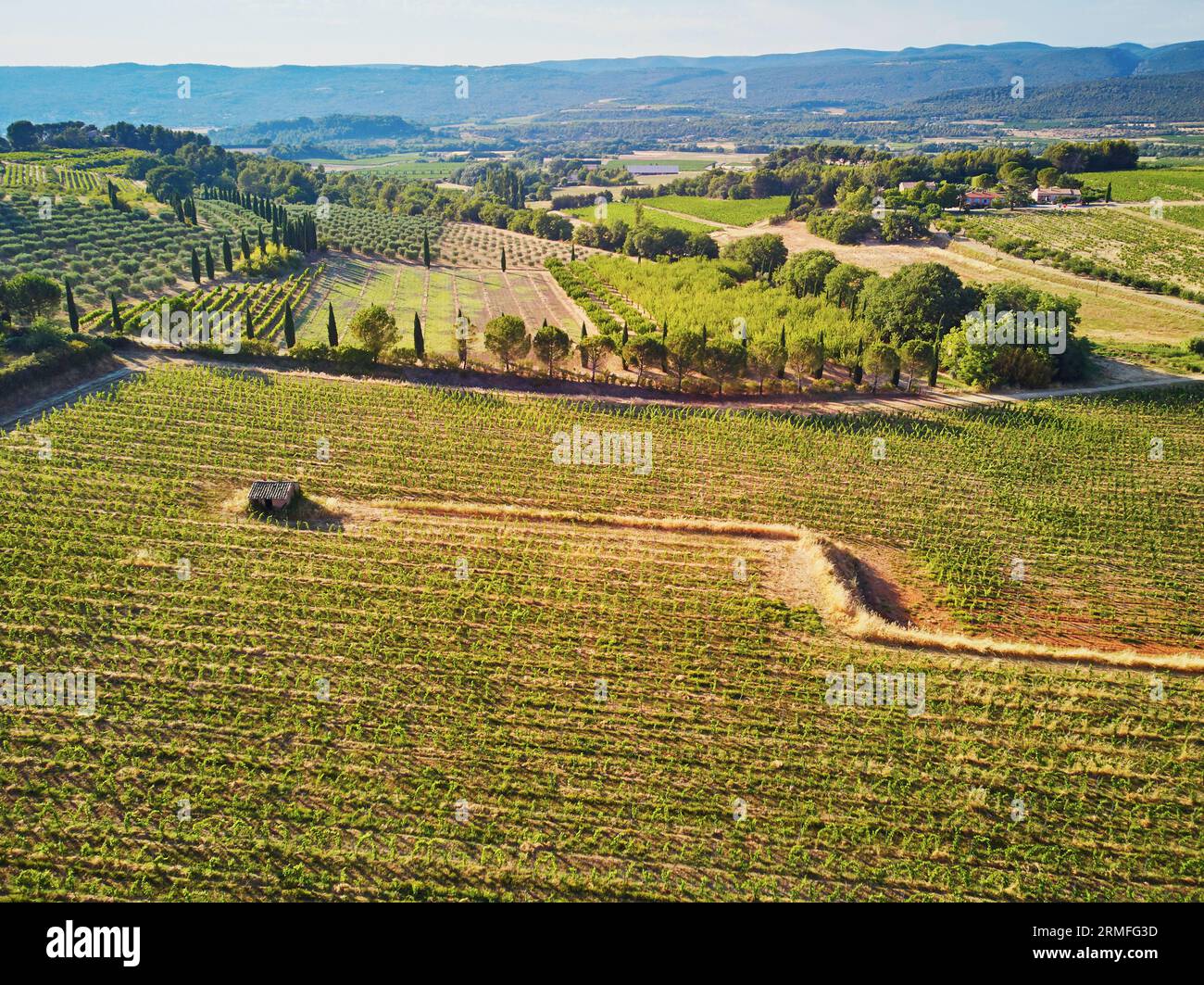 Aerial scenic Mediterranean landscape with cypresses, olive trees and ...