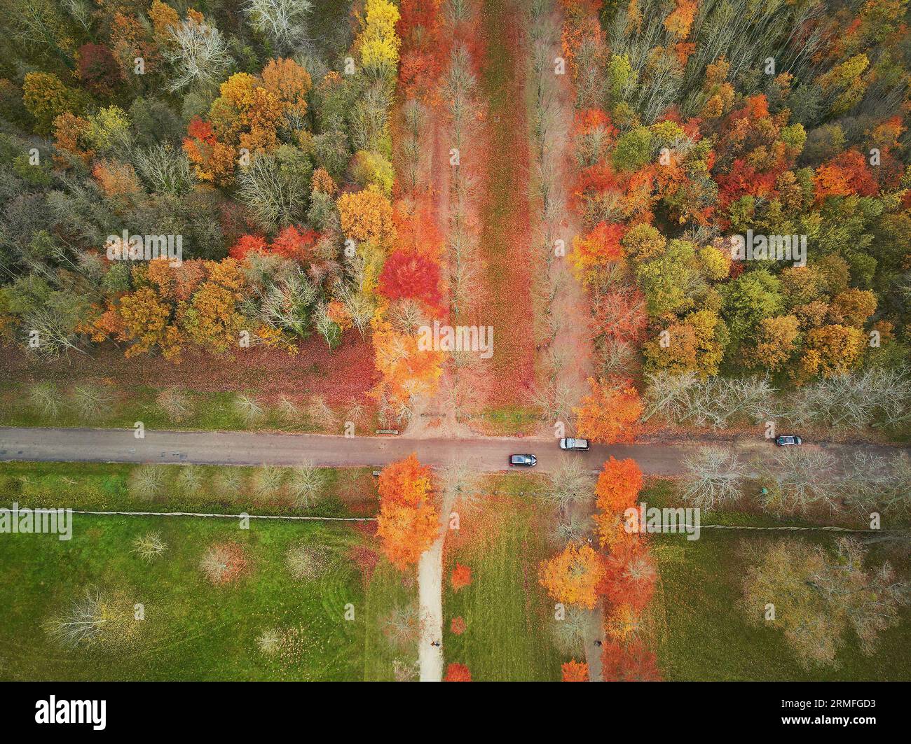 Aerial top down view of path through colorful autumn forest in ...
