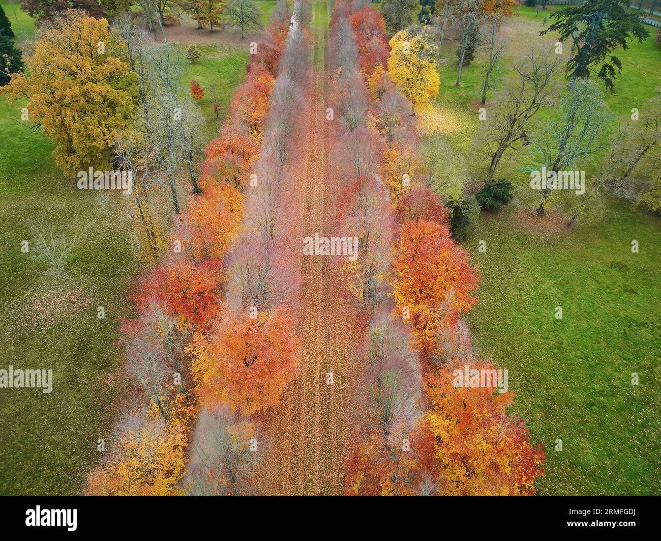Aerial top down view of path through colorful autumn forest in ...