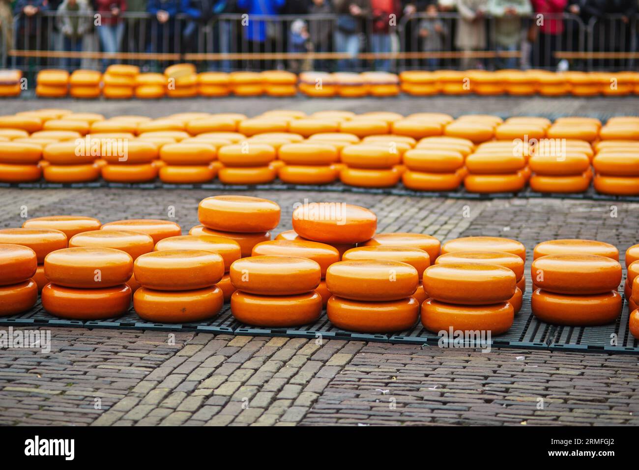 Alkmaar famous cheese spectacle gouda hi-res stock photography and ...