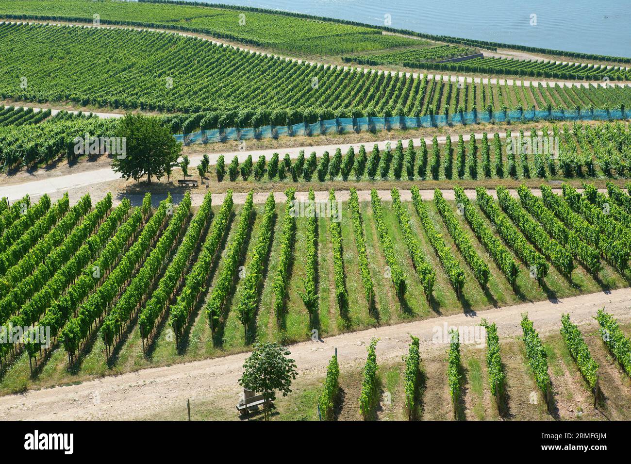 Rudesheim germany river aerial hi-res stock photography and images - Alamy
