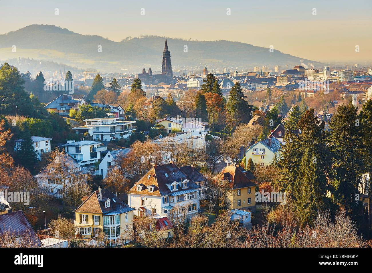 Freiburg city in winter hi-res stock photography and images - Alamy
