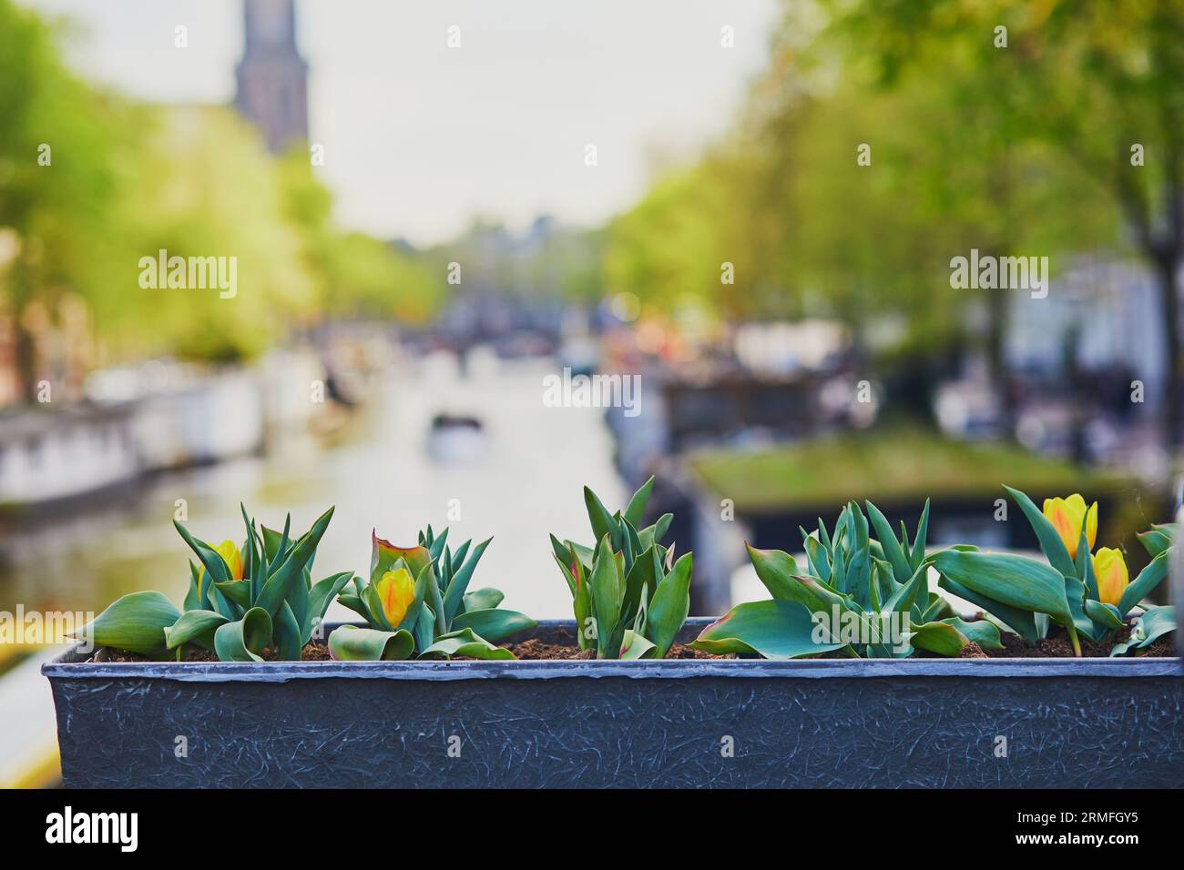 Scenic view of Amsterdam, the Netherlands with its canals, embankments ...