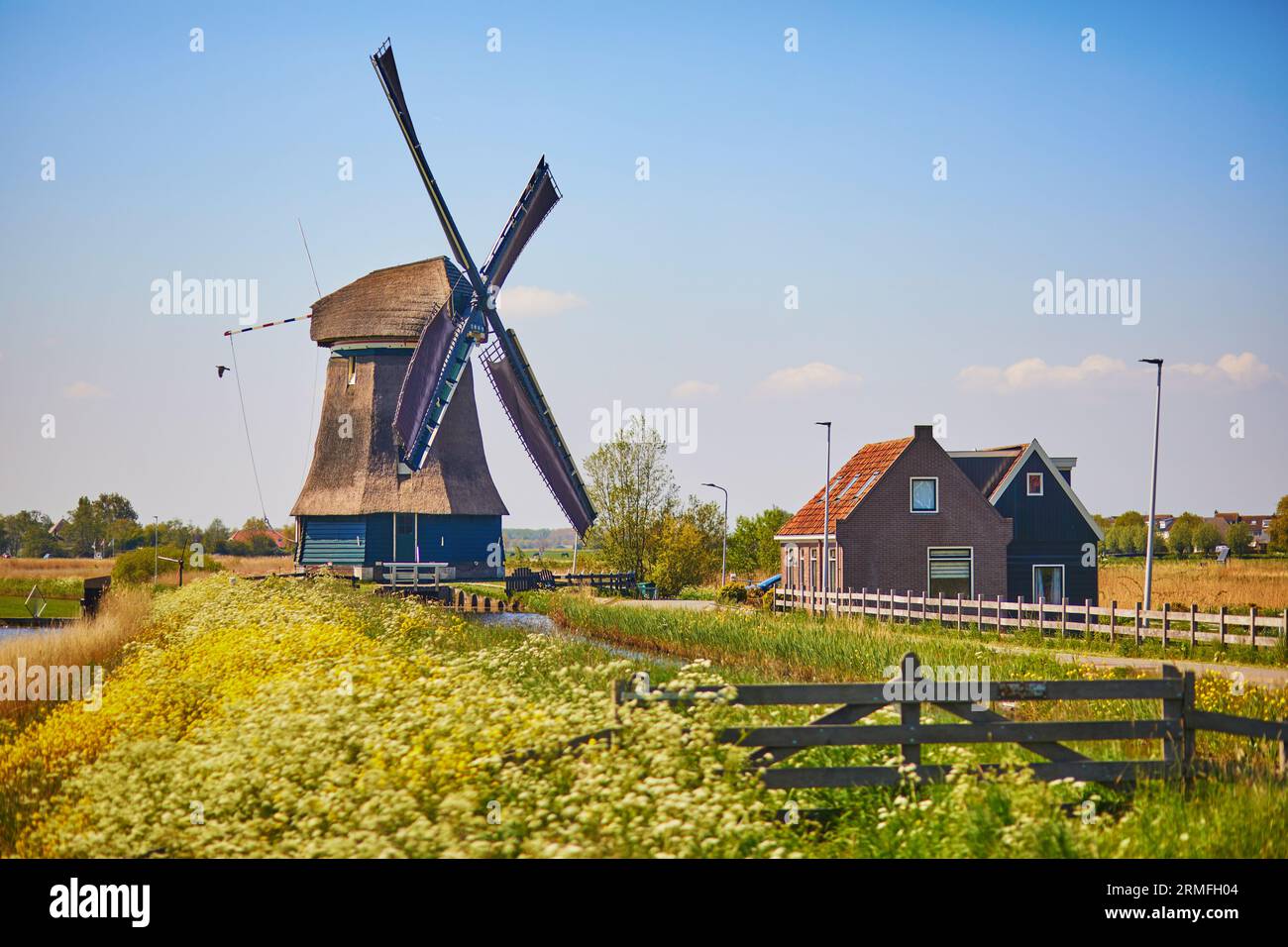 Traditional Dutch windmill on the field. Typical landscape of ...