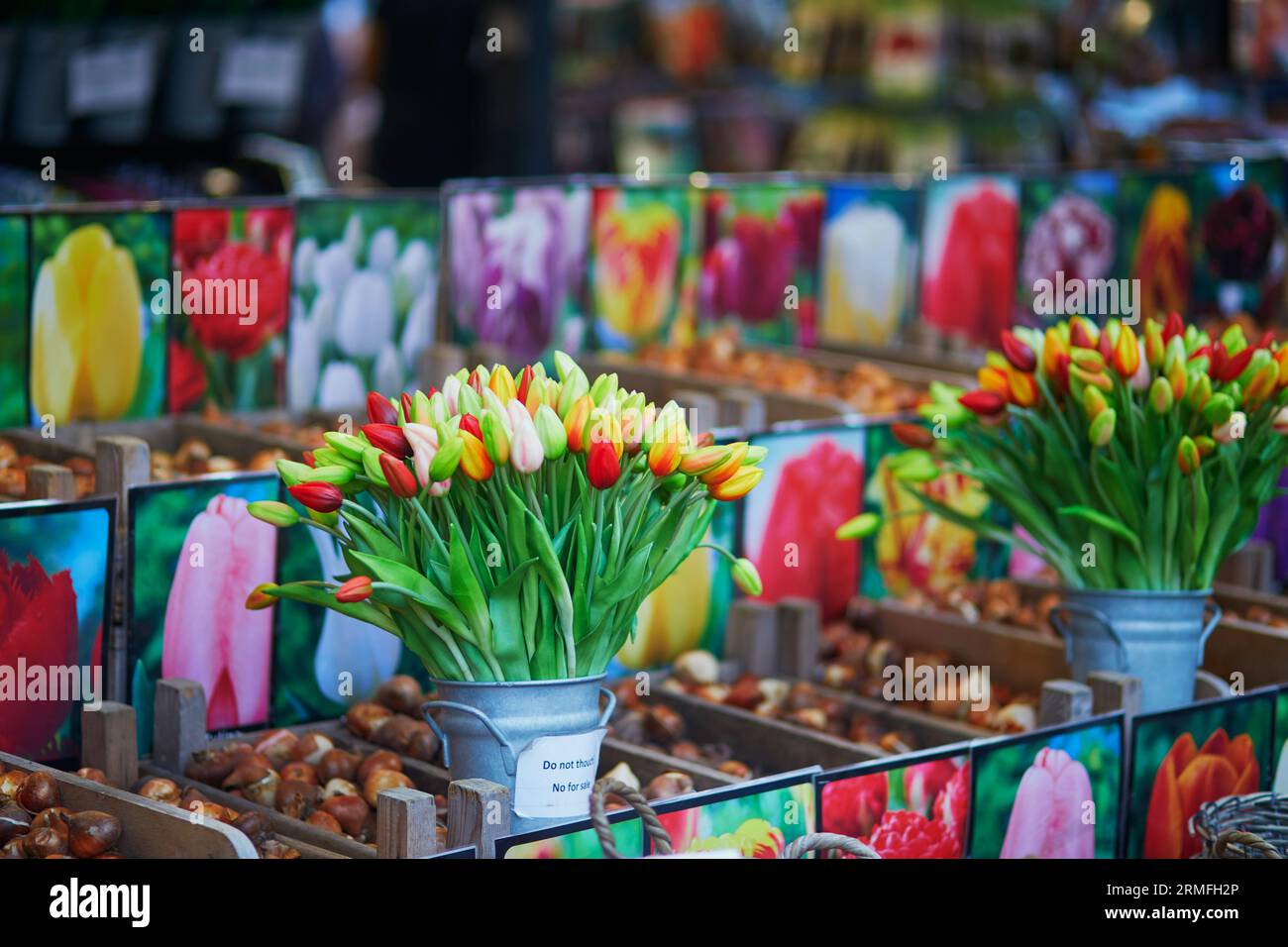 Traditional dutch market hi-res stock photography and images - Alamy