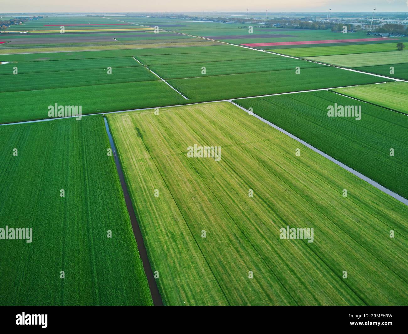 Aerial drone view of typical Dutch fields and polders. Typical ...