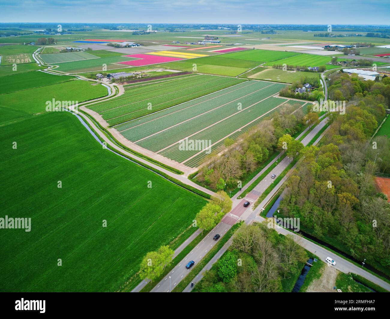 Aerial drone view of blooming tulip fields in Zuid-Holland, the ...