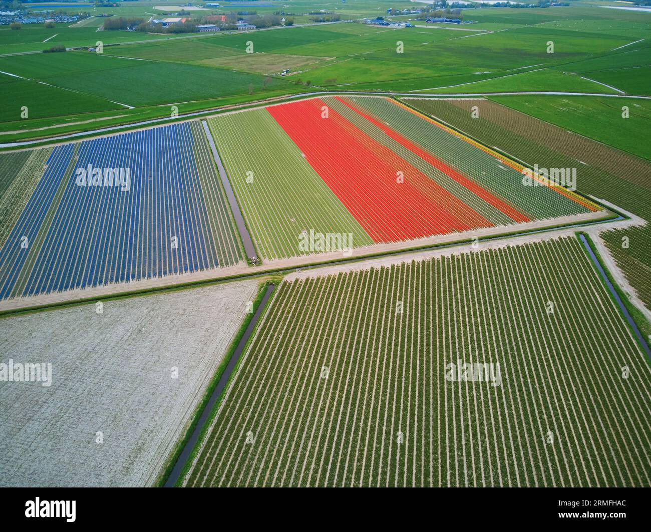Aerial view of tulip fields hi-res stock photography and images - Alamy