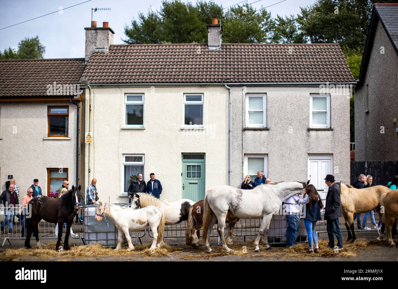 Lammasfair hi-res stock photography and images - Alamy