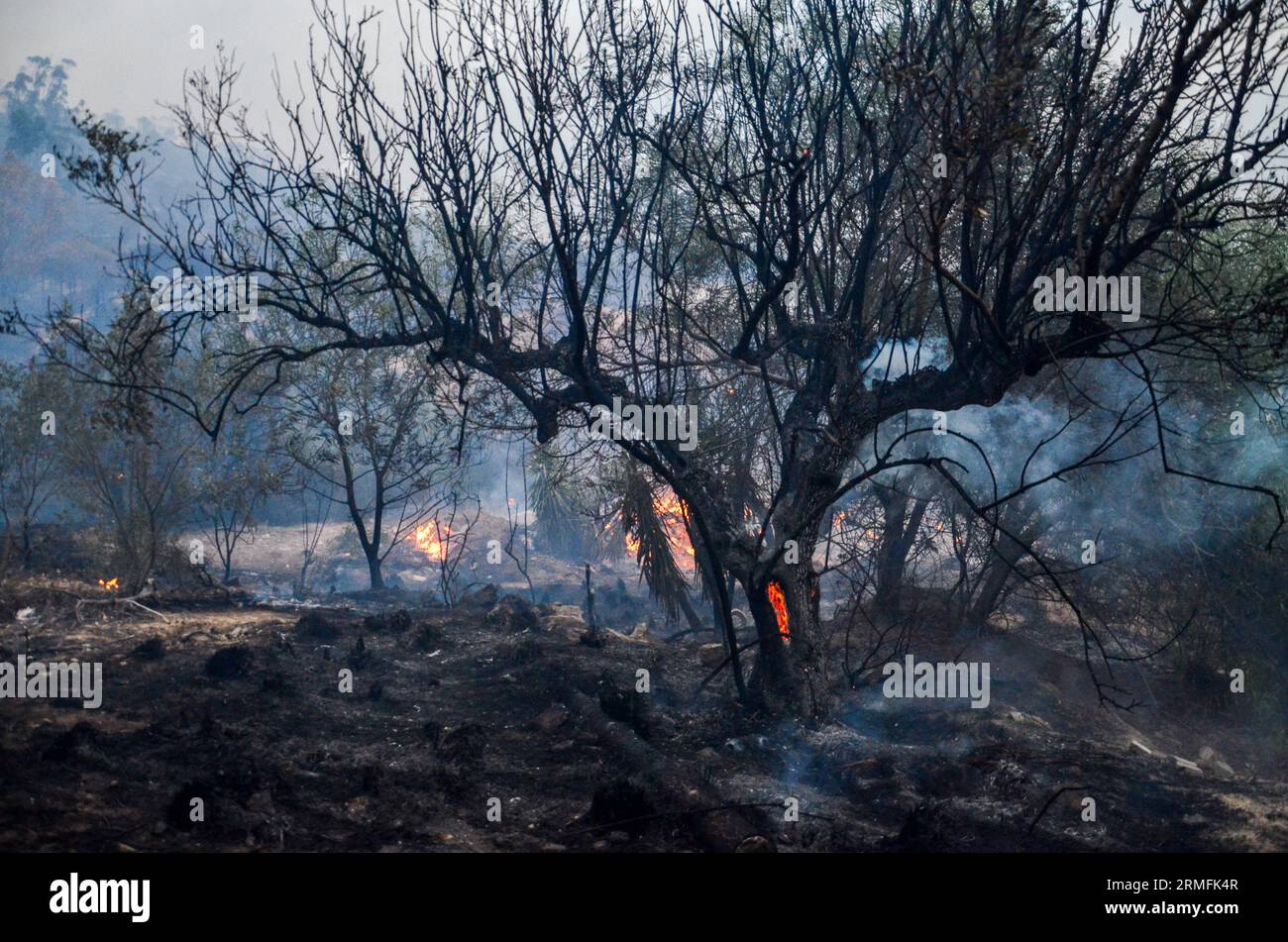 50 degrees celsius hi-res stock photography and images - Alamy
