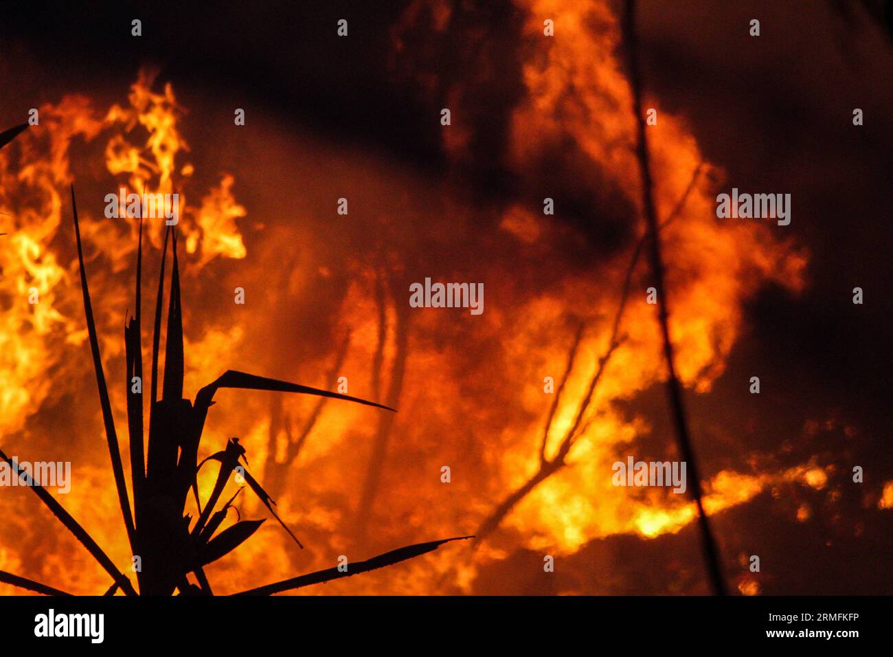 August 28, 2023: Tunis, Tunisia, 28 August 2023. A fire at a forest at ...