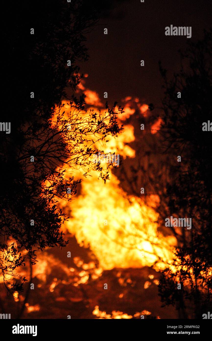 August 28, 2023: Tunis, Tunisia, 28 August 2023. A fire at a forest at ...