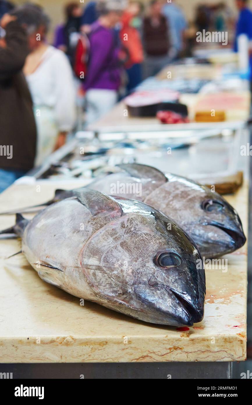 Atlantic tuna on traditional fish market Mercado dos Lavradores in ...
