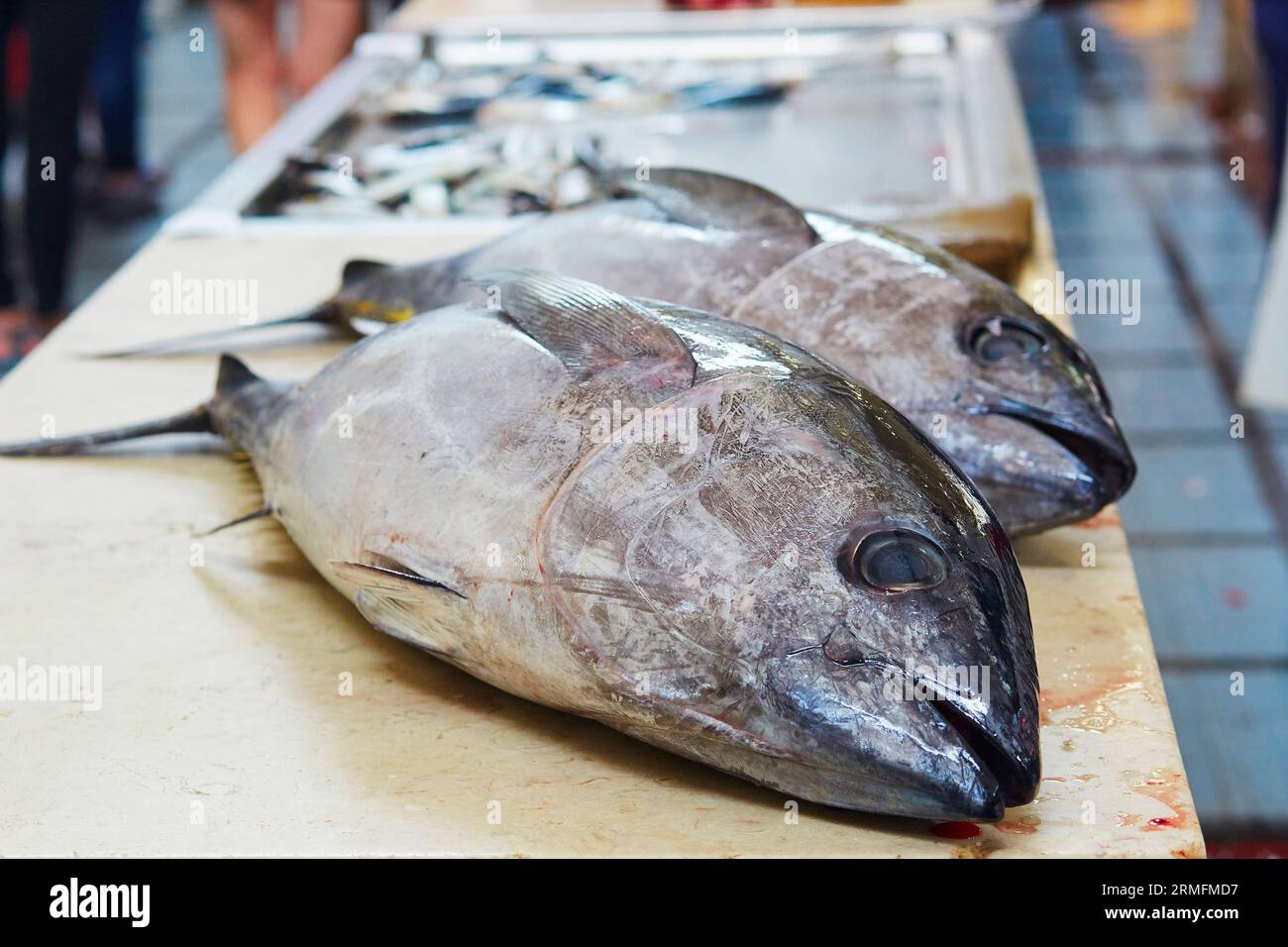 Atlantic tuna on traditional fish market Mercado dos Lavradores in ...