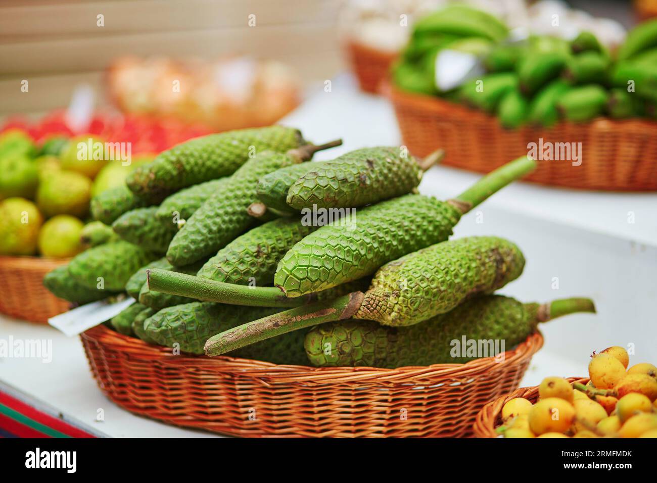 Fruit of monstera deliciosa hi-res stock photography and images - Alamy