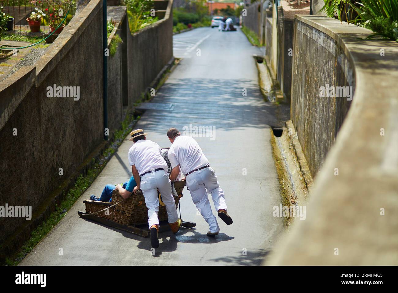 Famous fun tourist activity in Funchal, Madeira island, Portugal ...