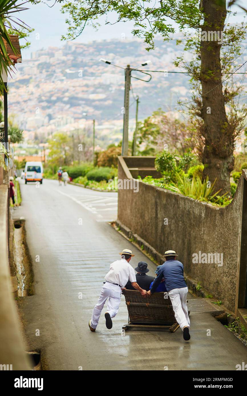 Famous fun tourist activity in Funchal, Madeira island, Portugal ...