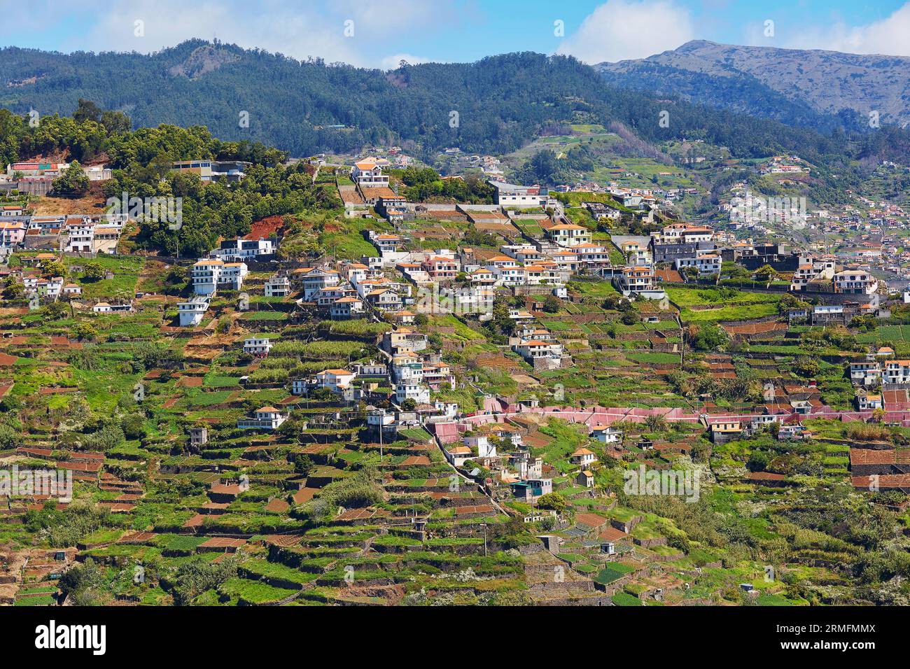 Aerial view of typical Madeira landscape with little villages, terrace ...