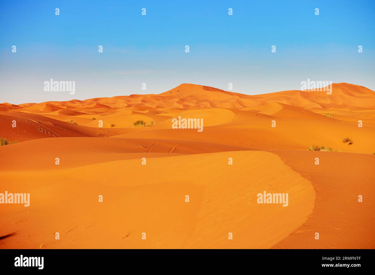 Seif dunes sahara hi-res stock photography and images - Alamy