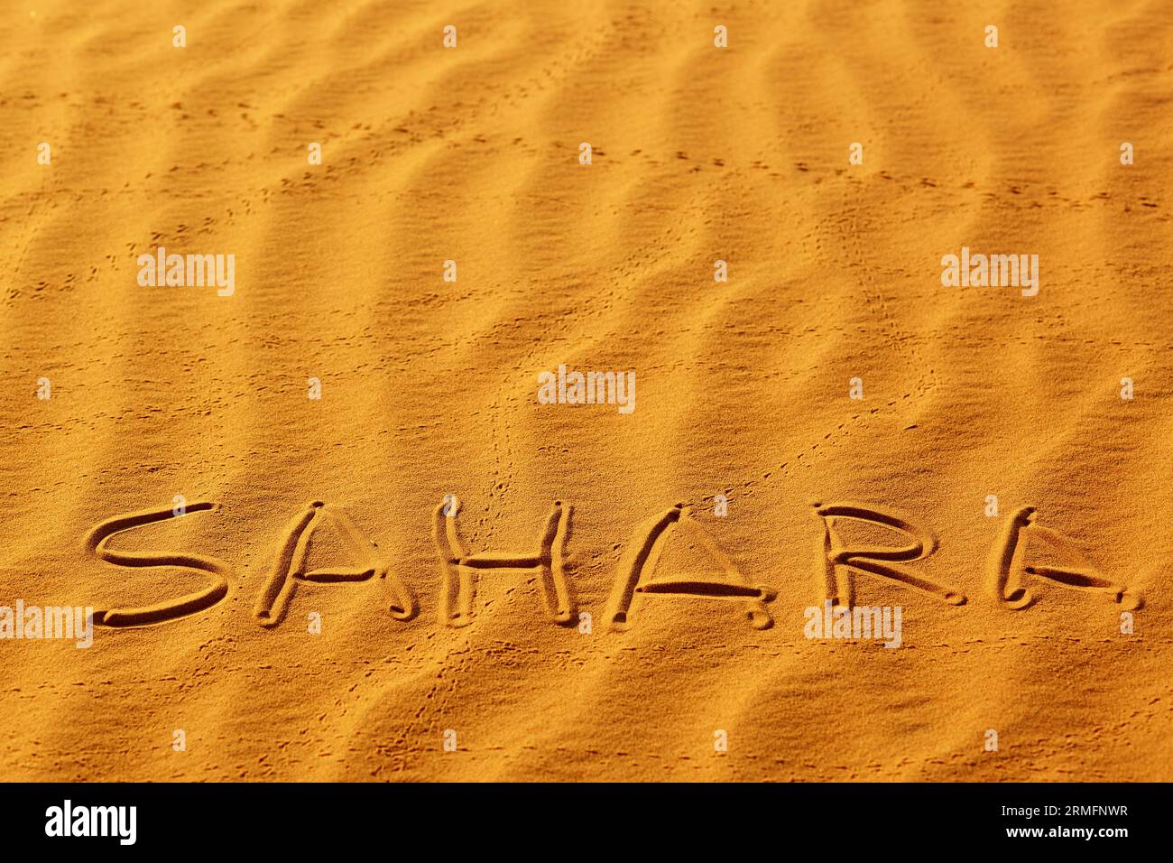 Word Sahara written on the sand in sand dunes in the Sahara Desert ...