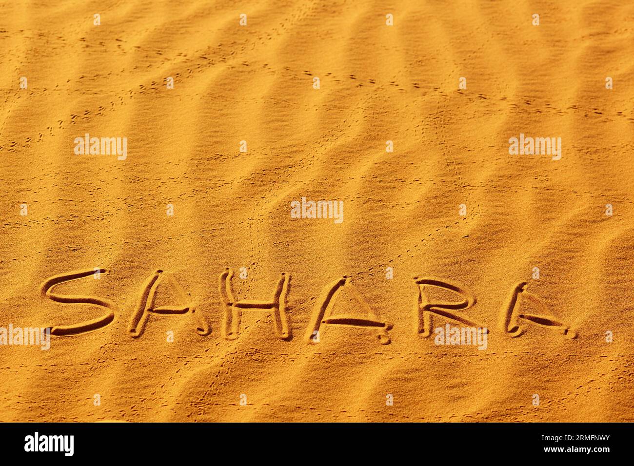 Word Sahara written on the sand in sand dunes in the Sahara Desert ...