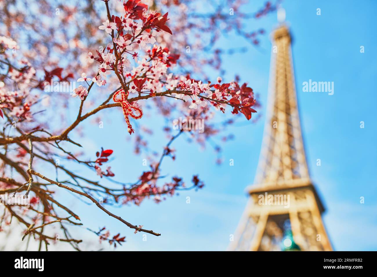 Eiffel Tower with blooming cherry blossom spring tree and martisor ...