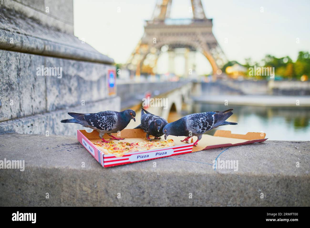 Birds eating pizza leftovers near the Eiffel tower. Empty streets of ...