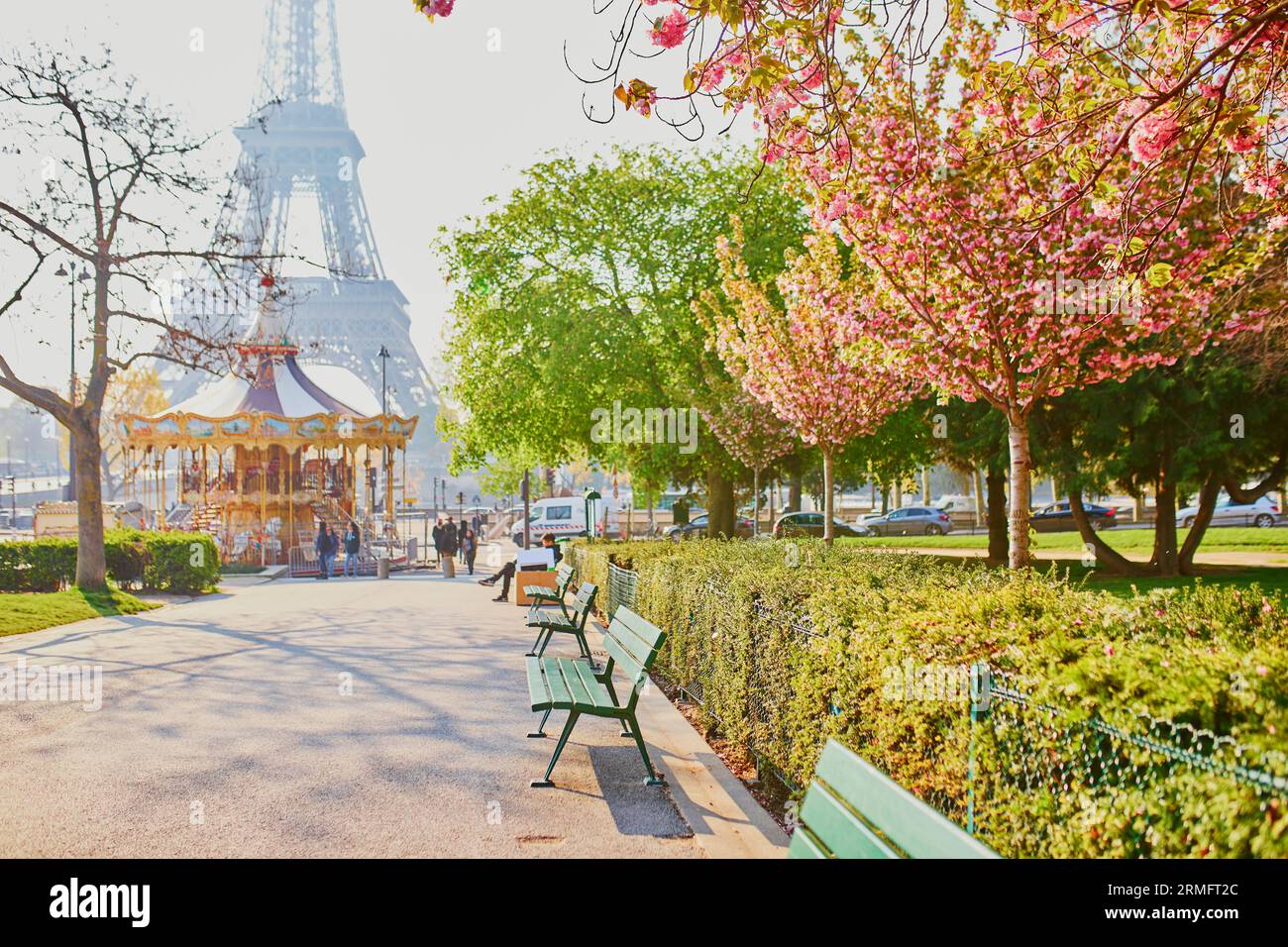 Scenic view of the Eiffel tower with cherry blossom trees in Paris ...