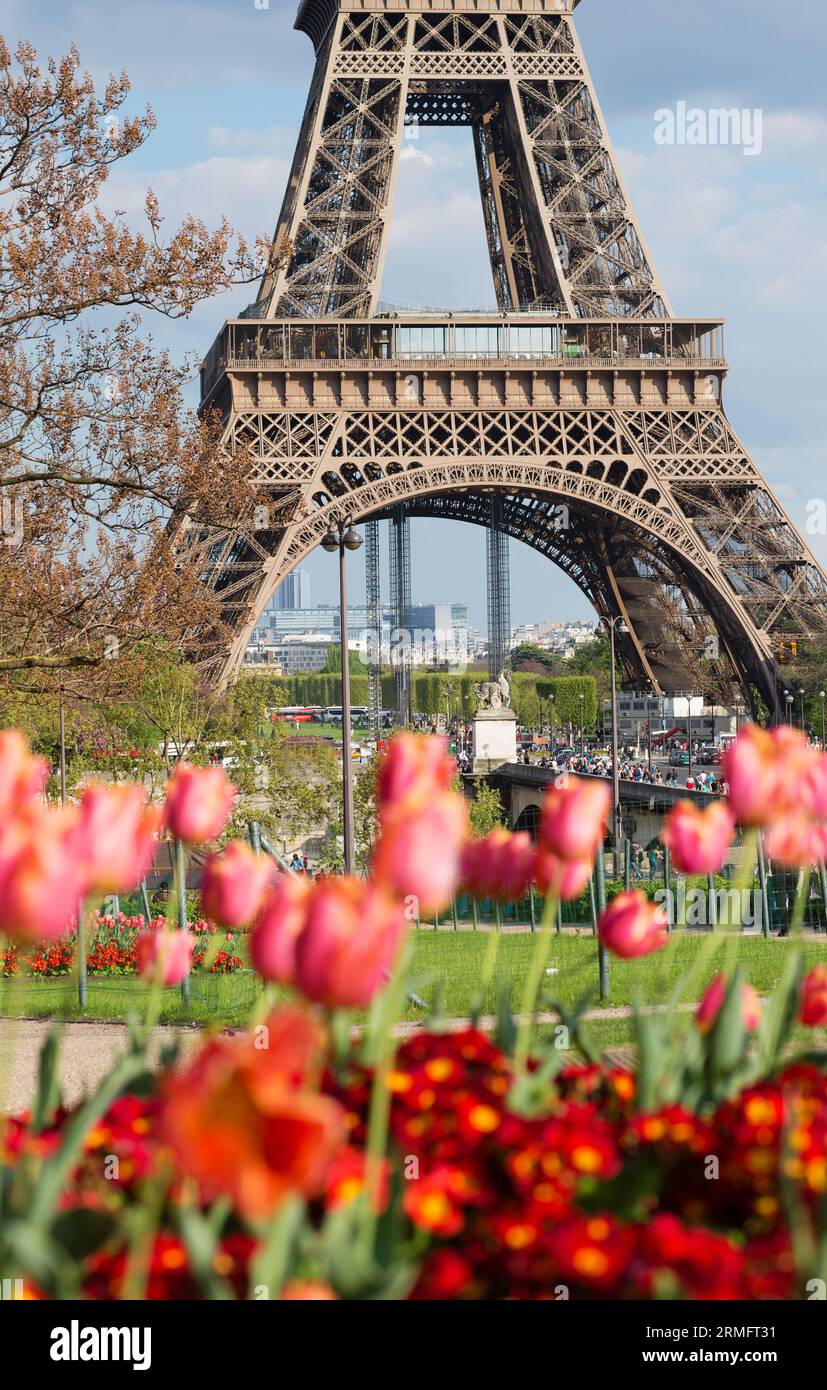 Springtime in Paris. Eiffel tower and tulips Stock Photo - Alamy