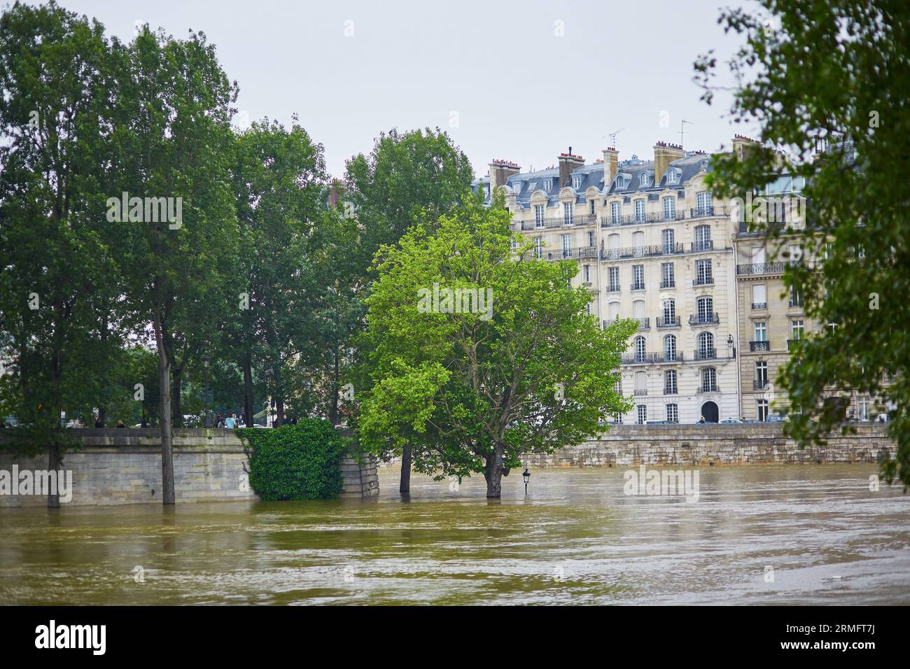 River seine overflow in hi-res stock photography and images - Alamy