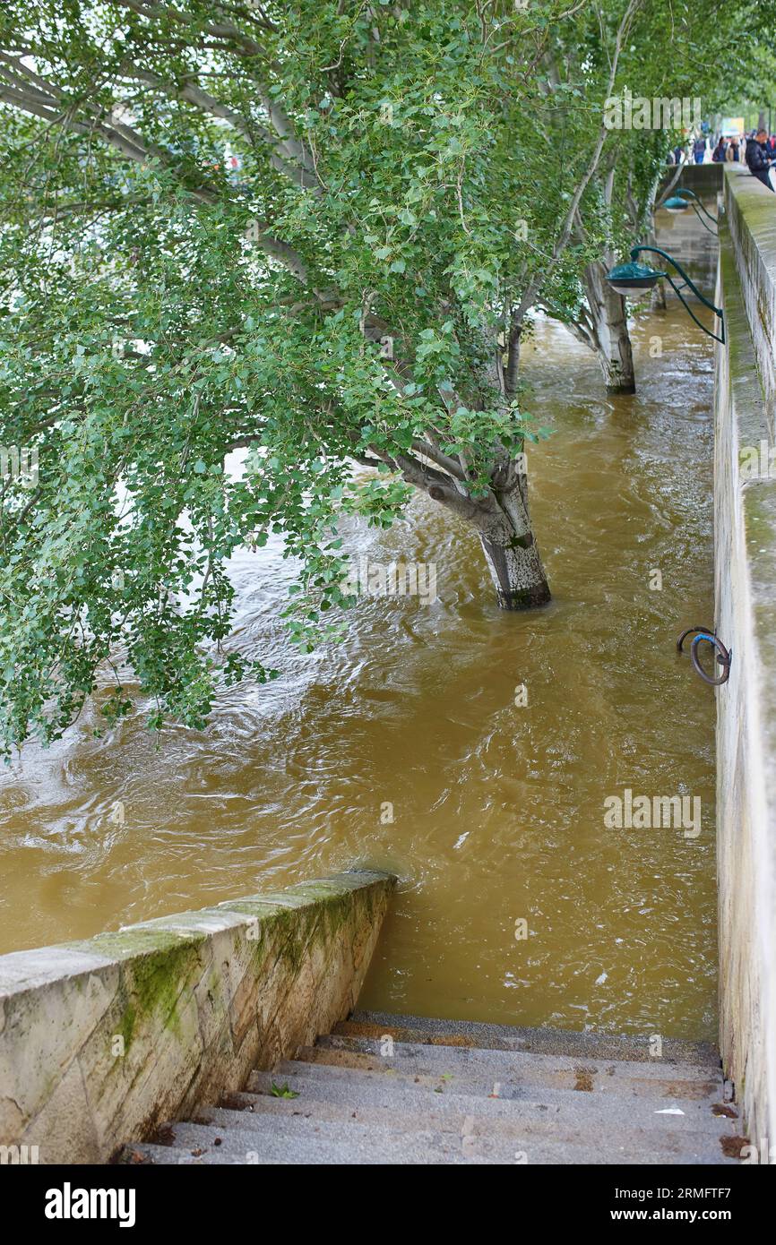 Paris wet summer hi-res stock photography and images - Alamy