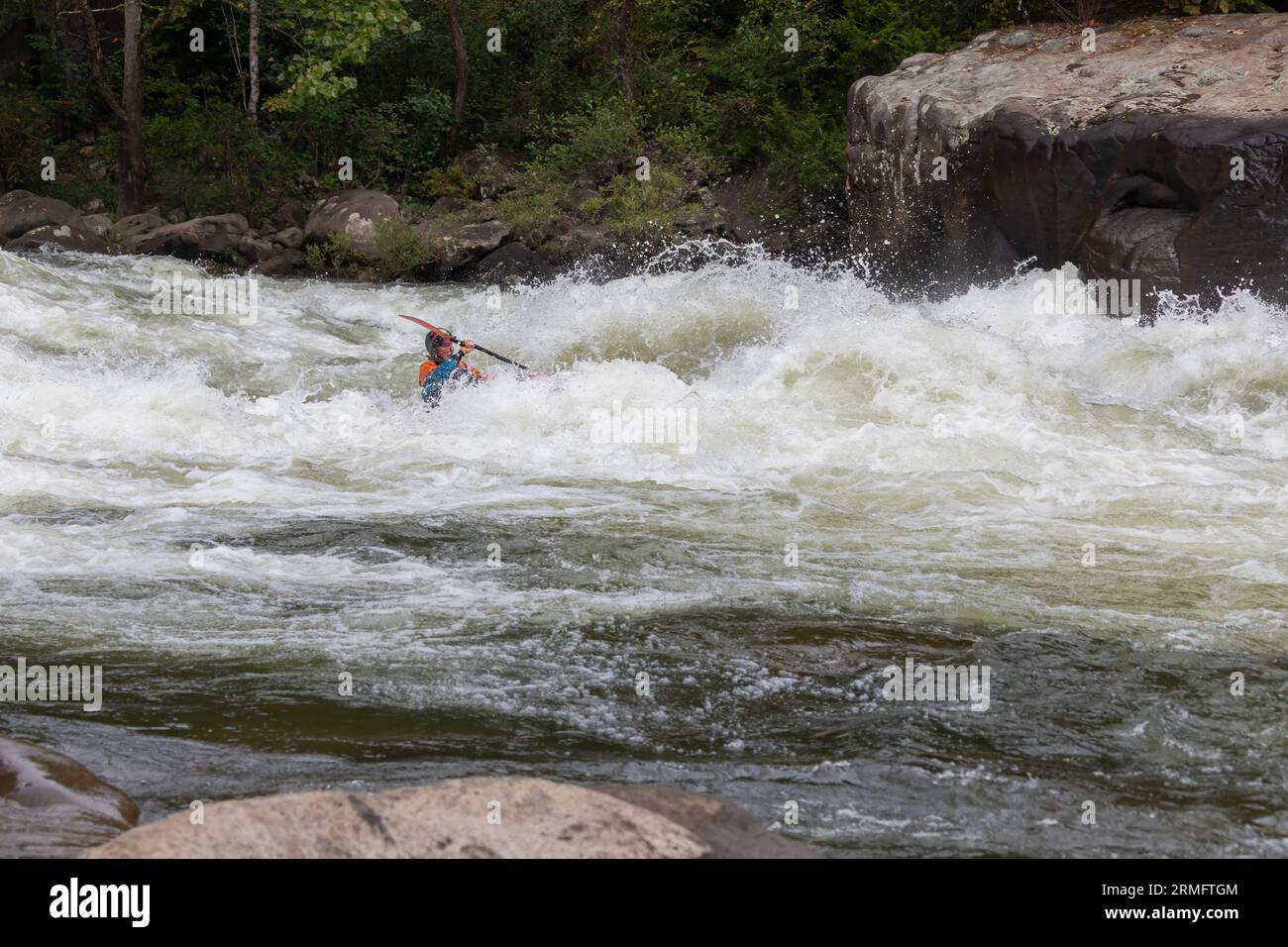 An adventurous kayaker paddling through the rough rapids on the Gauley ...